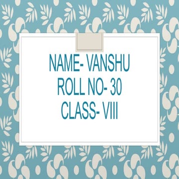 Presentation (2).pptx