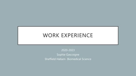 Work Experience for psp3 portfolio sasha | PPTX | Education