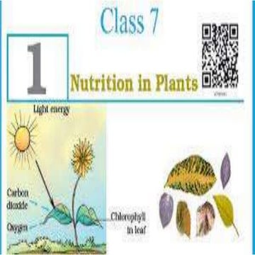 Class -7 Science Chapter-1 nutrition in plants, | PPTX