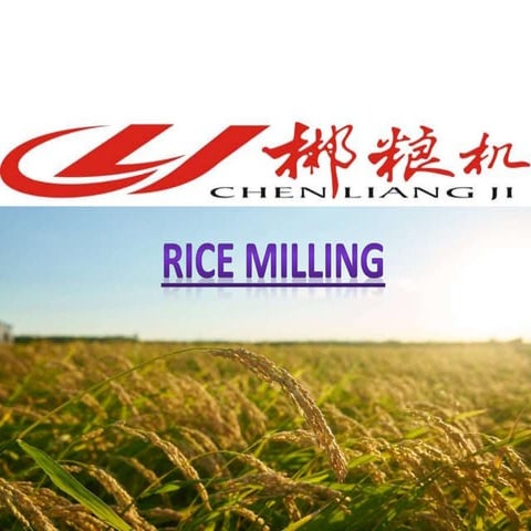 RICE MILLING | PPTX