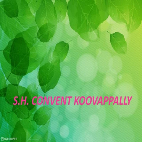 Presentation2.pptx | Computer Software and Applications | Computing