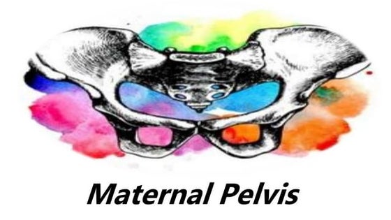 MATERNAL PELVIC DIAMETERS FINAL.pptx