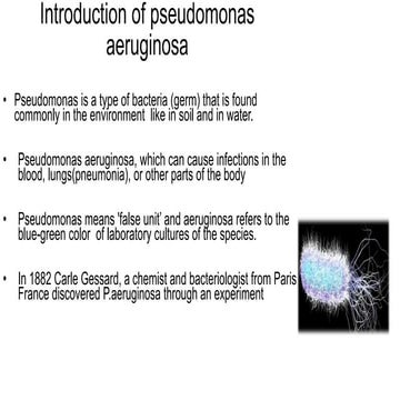 Presentation (2).pptx