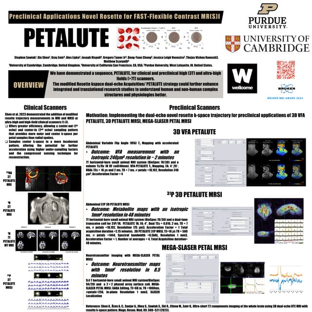 Quantitative Susceptibility Mapping (QSM) Using High-resolution Ultra ...