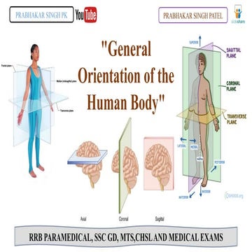 General Orientation of the Human Body !! Anatomy, Physiology, Bones MCQ ...