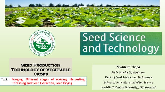 Rouging and its significance | PDF