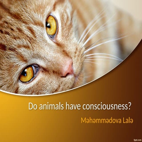 Do all animals have consciesness? .pptx