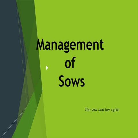 Presentation 2-Management practices of Sow.pptx