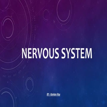 NERVOUS SYSTEM | PPTX