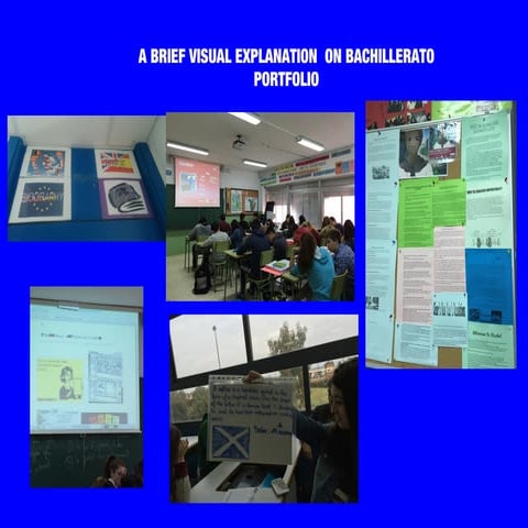 A BRIEF VISUAL PRESENTATION ON PORTFOLIO PROJECT | PPT