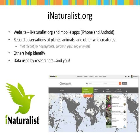 Quick Intro to iNaturalist | PPTX