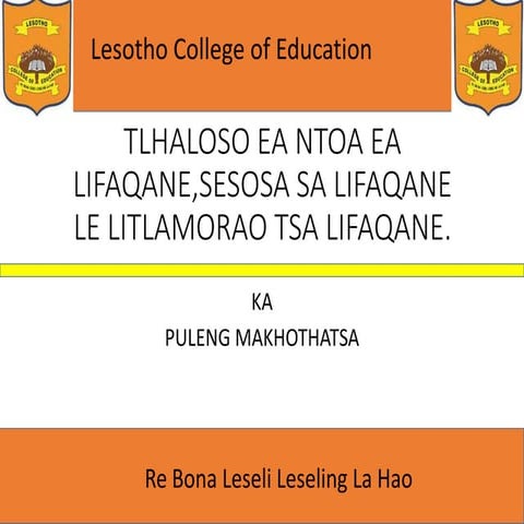 Presentation(20180151)puleng 1 | PPT