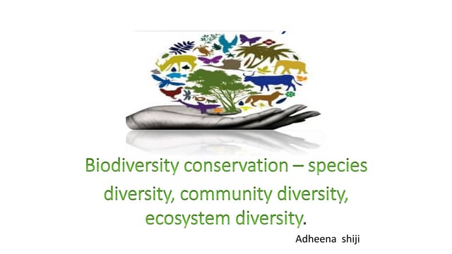 Biodiversity concept, types & its values | PPTX