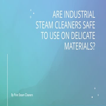 Are Industrial Steam Cleaners Safe to use on Delicate Materials? | PPT