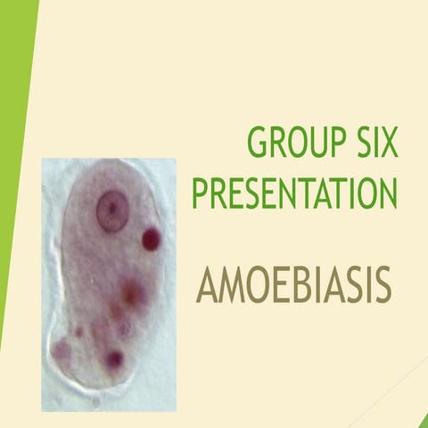 Presentation (2) (1).pptx on Amoebiasiss | PPTX | Infectious Diseases ...