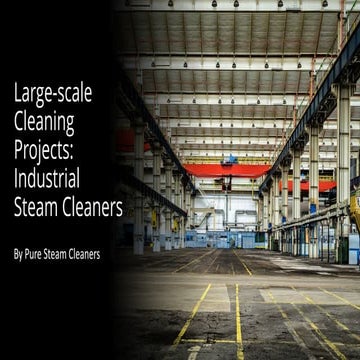 Large-scale Cleaning Projects: Industrial Steam Cleaners | PDF