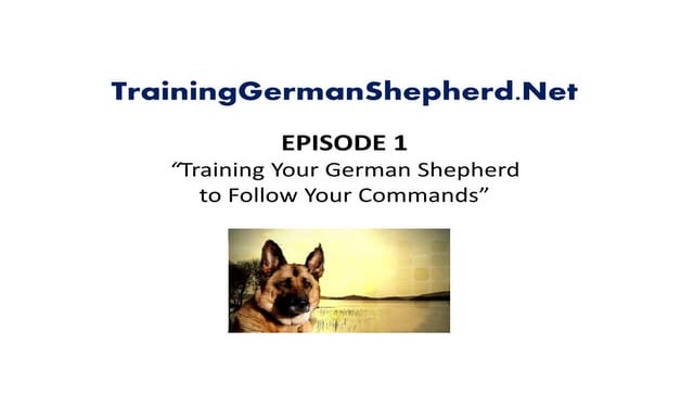 German Shepherd Training Tips