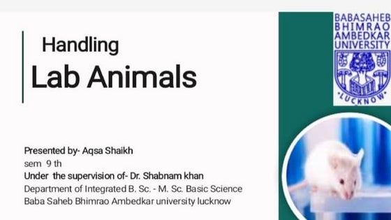 research safety in laboratory ,welfare of animal use in research - .pptx