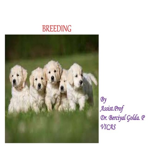 Breeding | PPTX