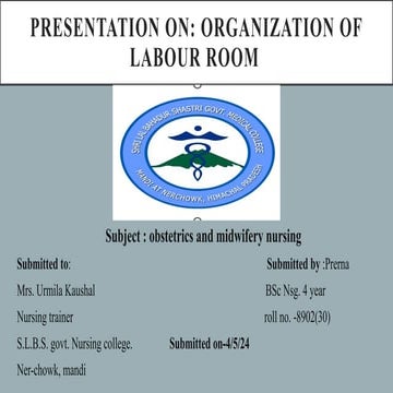 Labor_Room Guideline.pdf