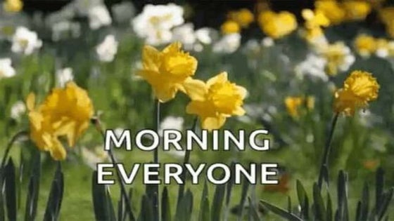 DAV Class 5 Plants | PPTX | Gardening | Home & Garden