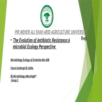Evolution of antibiotic resistance: A microbial ecology prospective | PPTX