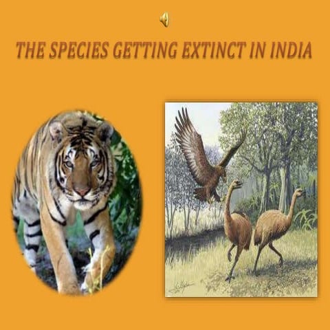 Extinct species India | PPTX
