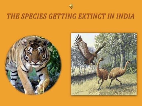 Science endangered and extinct animals | PPT