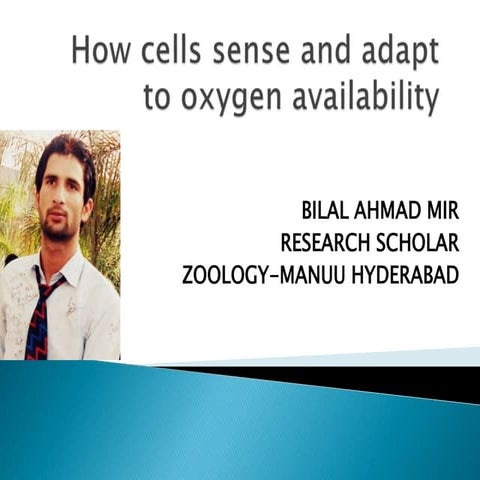 How cells sense and adapt themselves in Hypoxia | PPTX