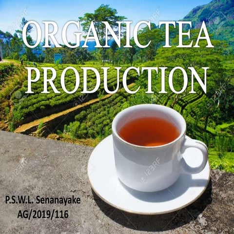 Organic tea cultivation & production in Sri Lanka | PPTX