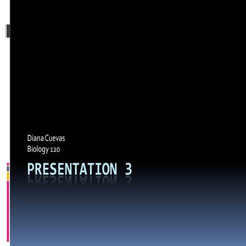 Presentation 3 | PPTX