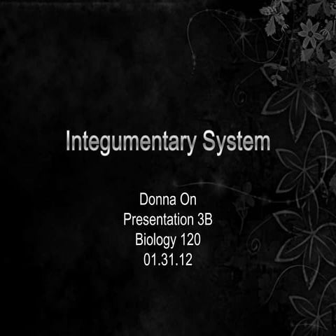 Presentation 3 | PPTX | Skin and Dermatology | Diseases and Conditions