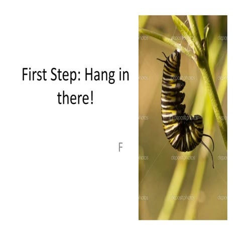 Metamorphosis | PPTX