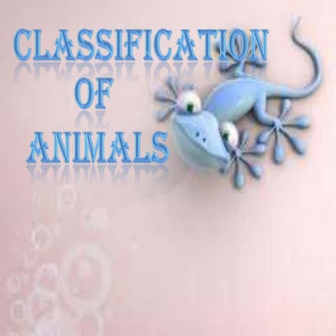 Animal classification powerpoint | PPT