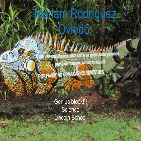 Genius Block!! Science A-1 | PPT