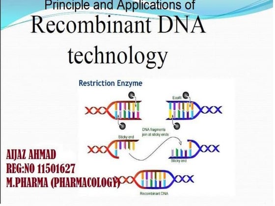 Recombinant dna technology | PPT