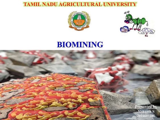 Biomining | PPTX | Chemistry | Science