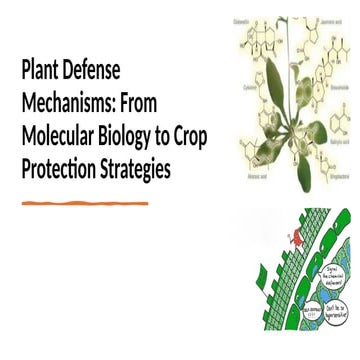 Plant Defence Mechanisms: From Molecular Biology to Crop Protection ...