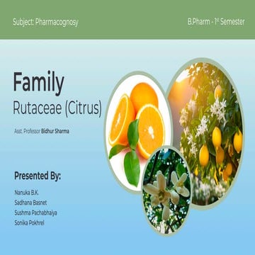 Rutaceae family pharmacognosy second semester | PDF