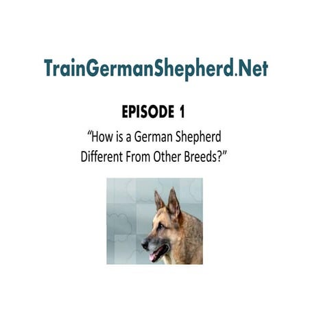 GERMAN SHEPHERD TRAINING & TIPS.pptx