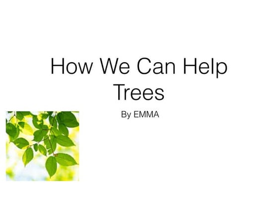 Protect the Pandas by Erik | PPT