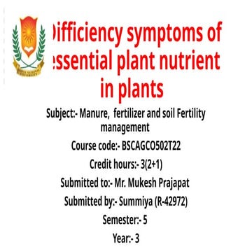 Comprehensive Guide to Essential Plant Nutrient Deficiency Symptoms and ...