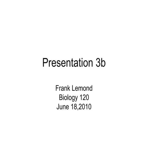 Presentation 3b | PPT