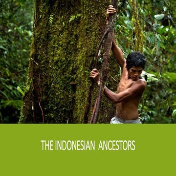 The Indonesian Ancestors Part 2 | PPTX