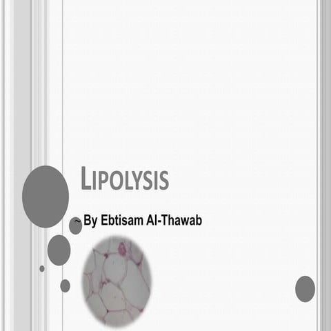 Lipolysis | PPTX