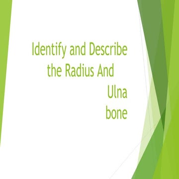 Radius bone anatomy | PPTX