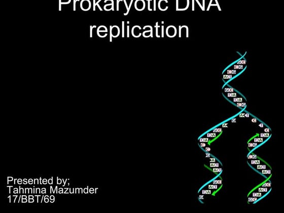 Prokaryotic DNA replication | PPT