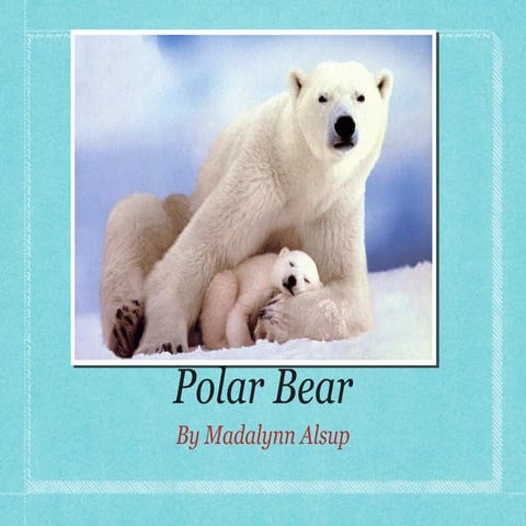 polar bears | PPT