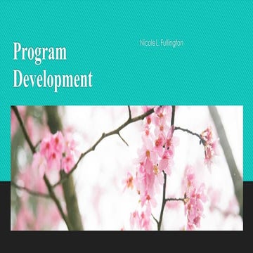 Program Development | PPT