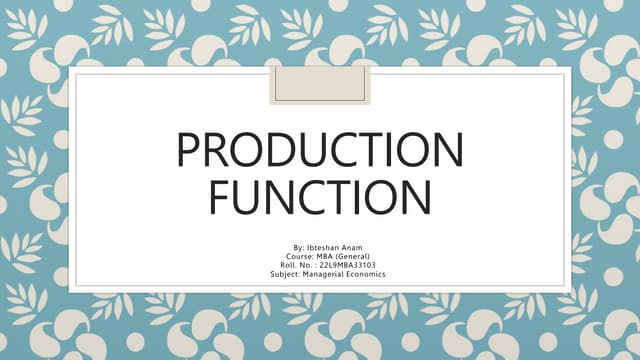 production function new2 (1).pdf by ayush and team | PDF
